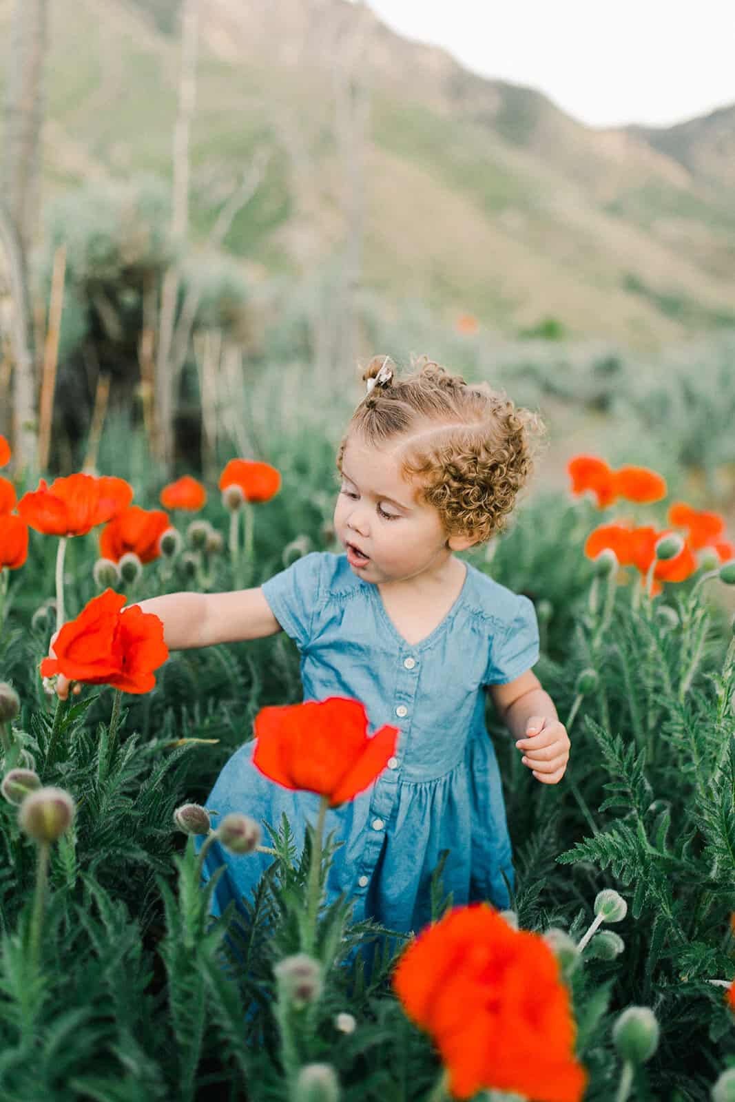 Beautiful Flower Fields in Utah to Take Pictures